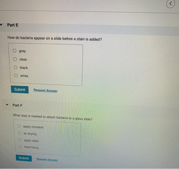 Solved Part A A simple stain: reveals basic microbe shape | Chegg.com