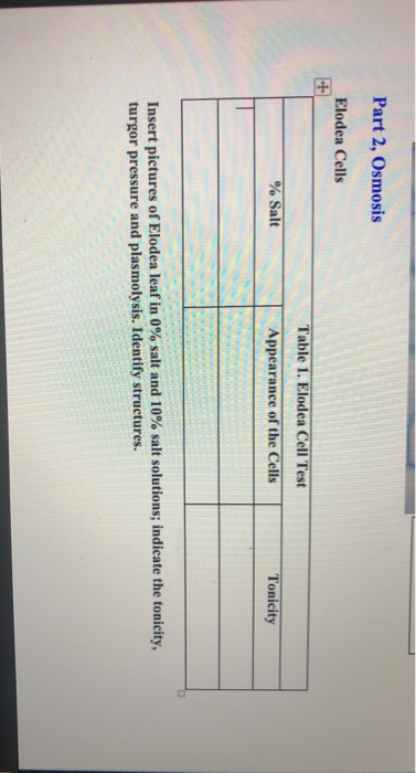 Solved Part 2, Osmosis Elodea Cells Table 1. Elodea Cell | Chegg.com