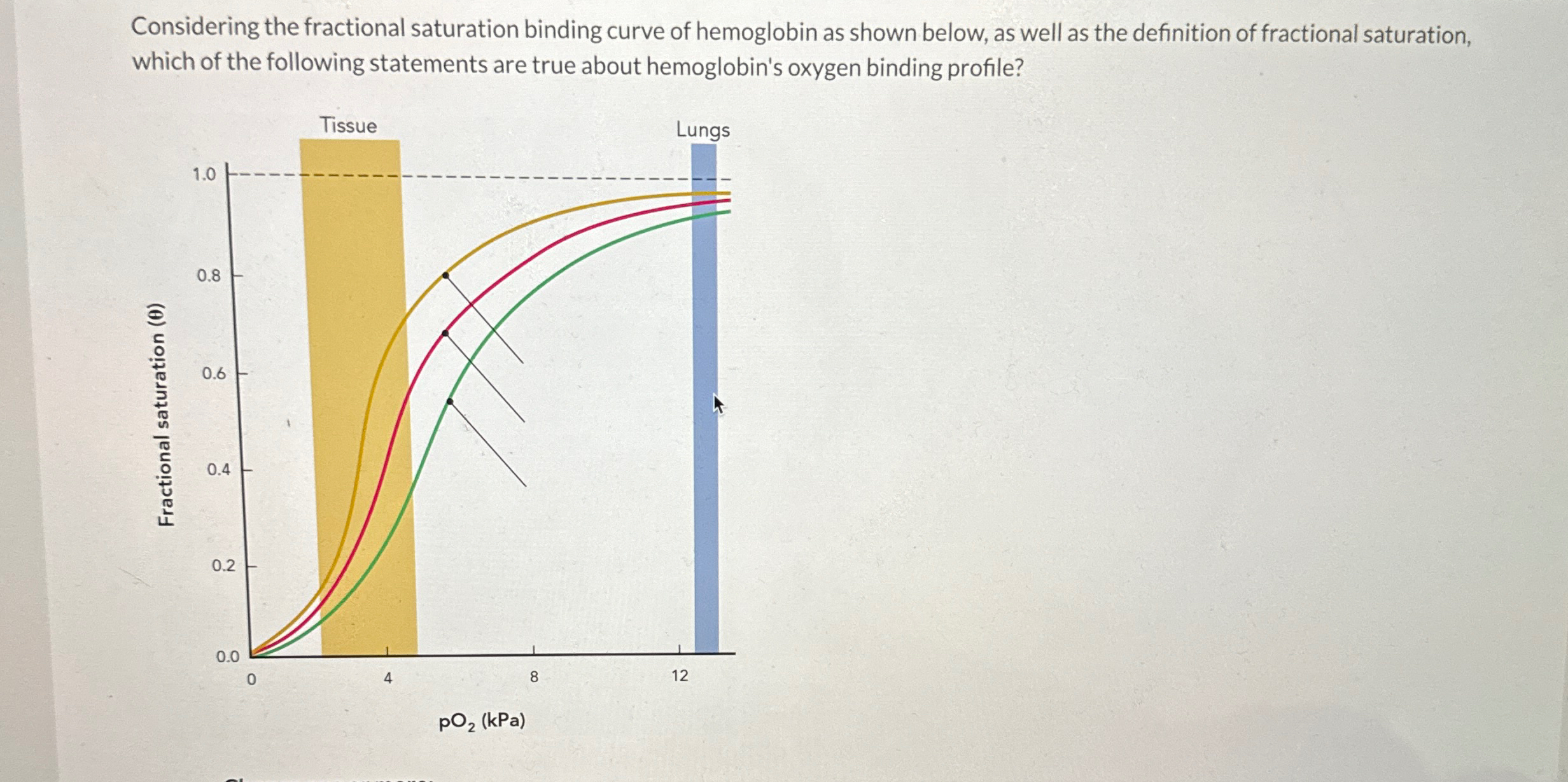 Solved Considering the fractional saturation binding curve | Chegg.com