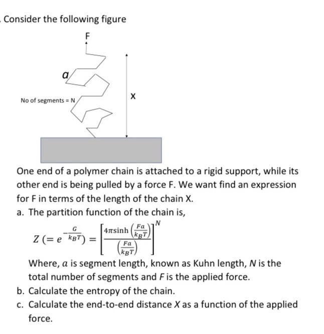 Solved Consider the following figure One end of a polymer | Chegg.com