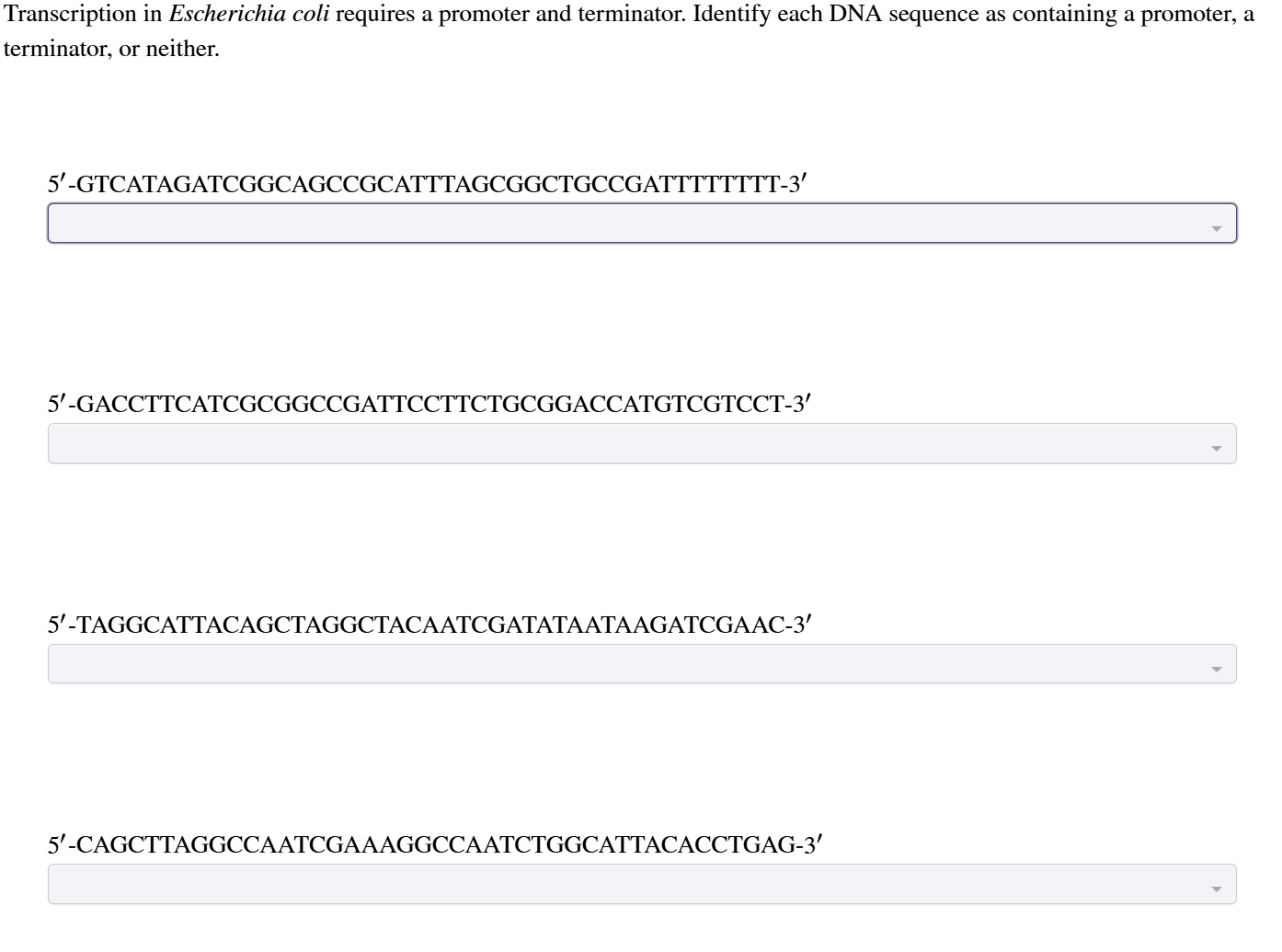 Solved Transcription in Escherichia coli requires a promoter | Chegg.com