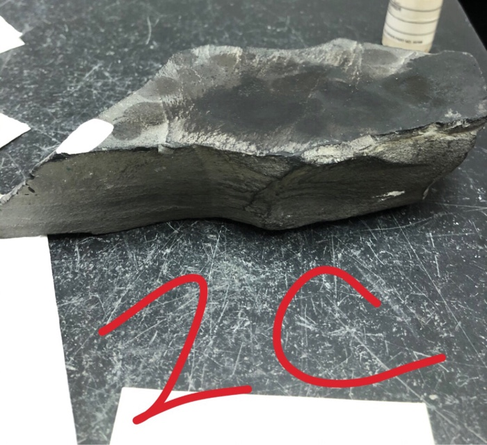 Solved Environment 2 Rock type Clastic, chemical or | Chegg.com