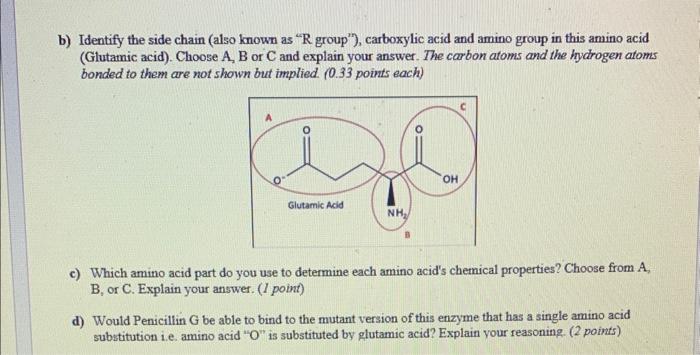 Solved b) Identify the side chain (also known as "R group"), | Chegg.com
