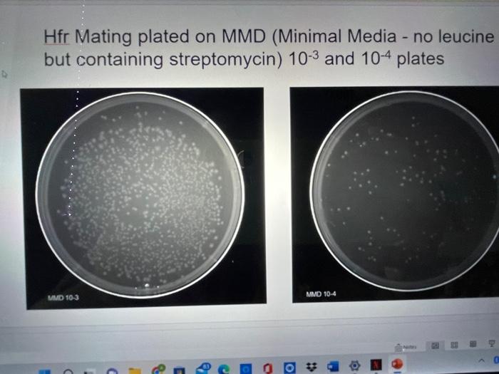 Solved i neef the colonies per plate snd cfu/ml table | Chegg.com