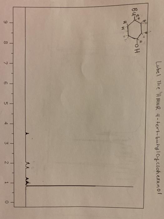 Solved Label The 'HMNR 4-tert-butylcyclohexanol But сон H А | Chegg.com