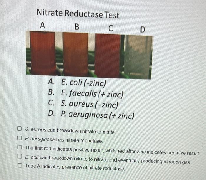 Solved Nitrate Reductase Test A B C D A. E. coli (-zinc) B. | Chegg.com