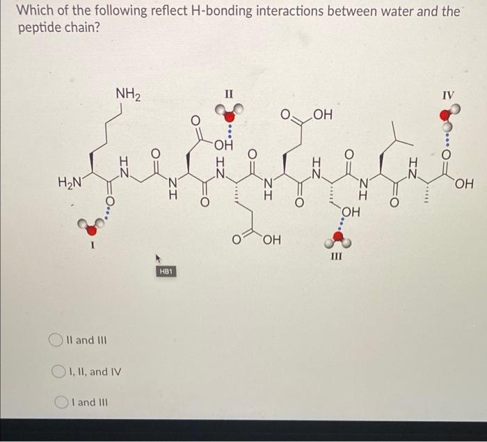 Solved Which of the following reflect H-bonding interactions | Chegg.com