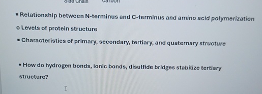 Solved Relationship Between N Terminus And C Terminus And