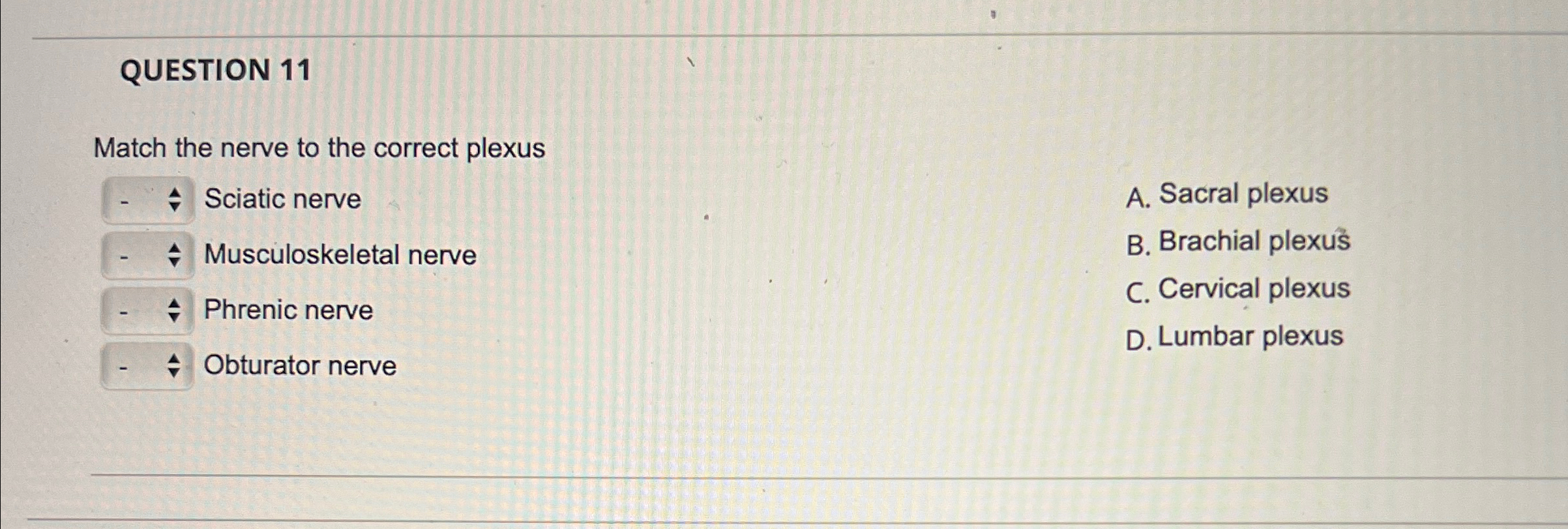 Solved QUESTION 11Match the nerve to the correct | Chegg.com