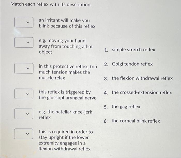 Solved Match each reflex with its description. an irritant | Chegg.com