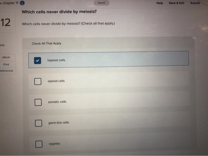 Solved w chapter 11 Saved Help Save & Exit Submit Which | Chegg.com