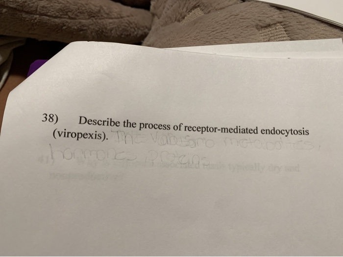 Solved 38) Describe the process of receptor-mediated | Chegg.com