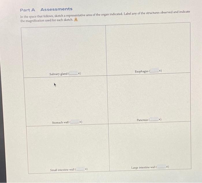 Solved Part A Assessments In the space that follows, sketch | Chegg.com