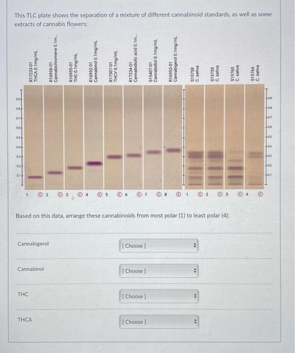 Solved This TLC plate shows the separation of a mixture of | Chegg.com