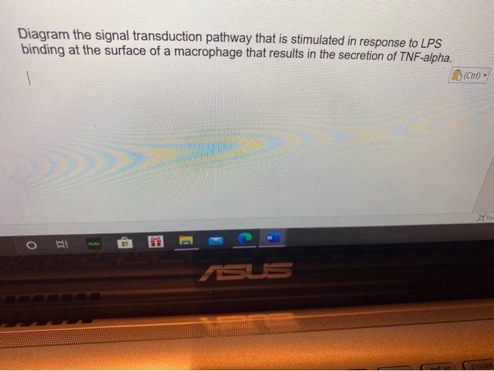 Solved Diagram the signal transduction pathway that is | Chegg.com