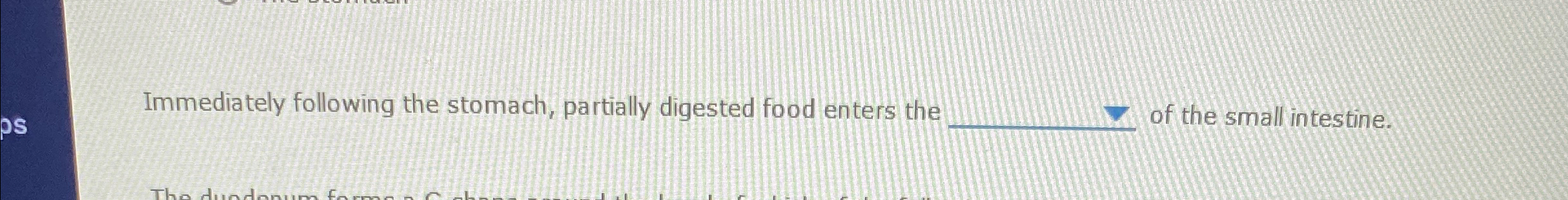 Solved Immediately following the stomach, partially digested | Chegg.com