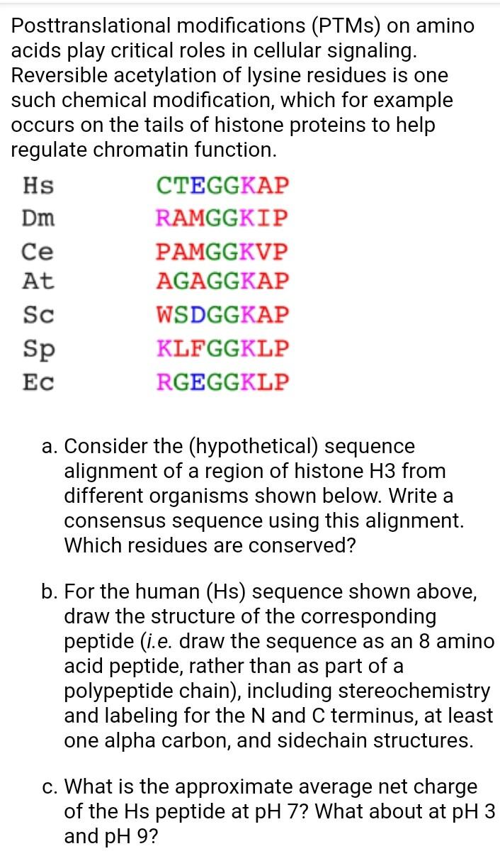 Solved Posttranslational Modifications Ptms On Amino Acids