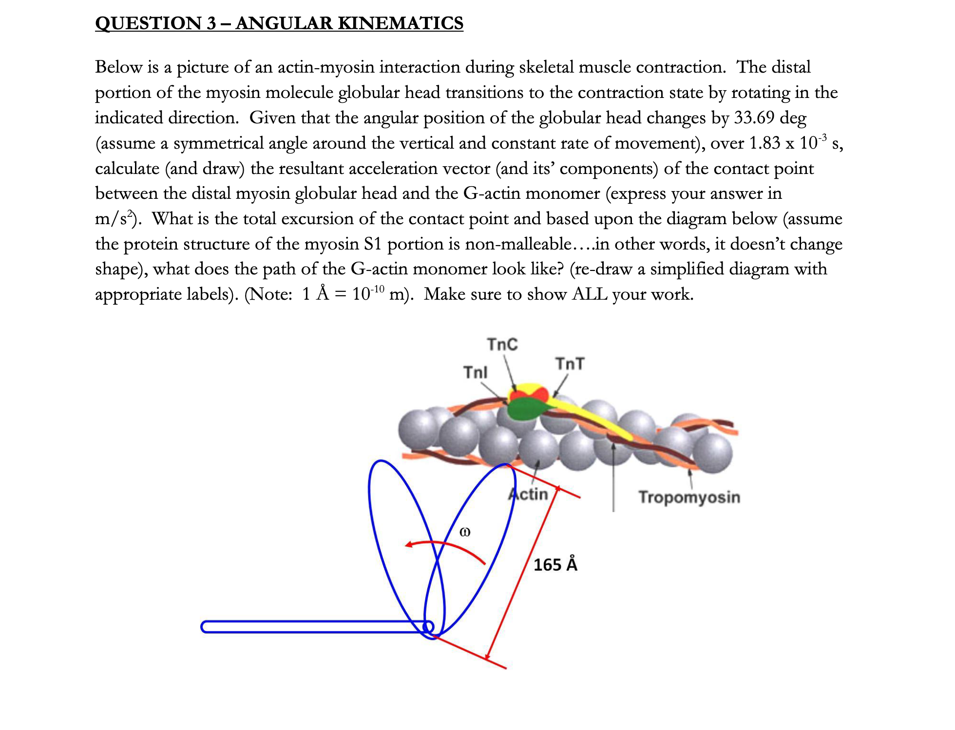 Solved QUESTION 3 - ﻿ANGULAR KINEMATICSBelow is a picture of | Chegg.com