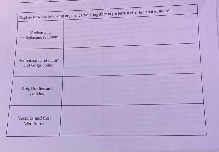 Solved Explain how the following organelles work together to | Chegg.com