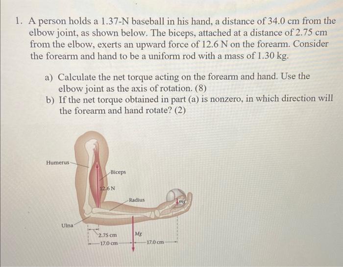 Solved 1. A person holds a 1.37−N baseball in his hand, a | Chegg.com