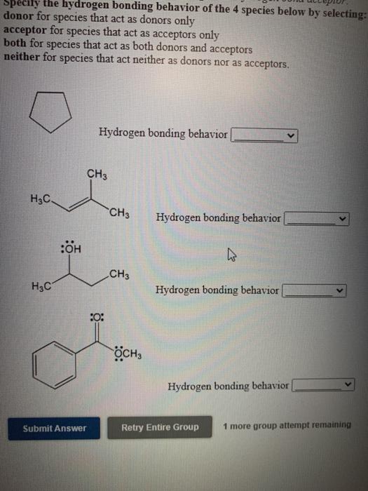 Solved Specify the hydrogen bonding behavior of the 4 spcies | Chegg.com