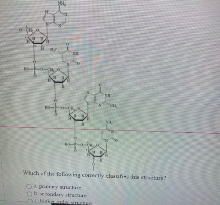 Solved Examine the following structural formula. NH H HC NH | Chegg.com