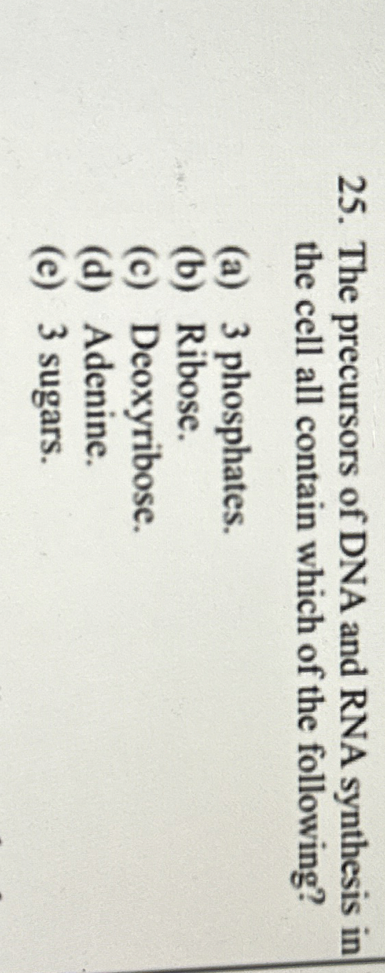 Solved The precursors of DNA and RNA synthesis inthe cell | Chegg.com