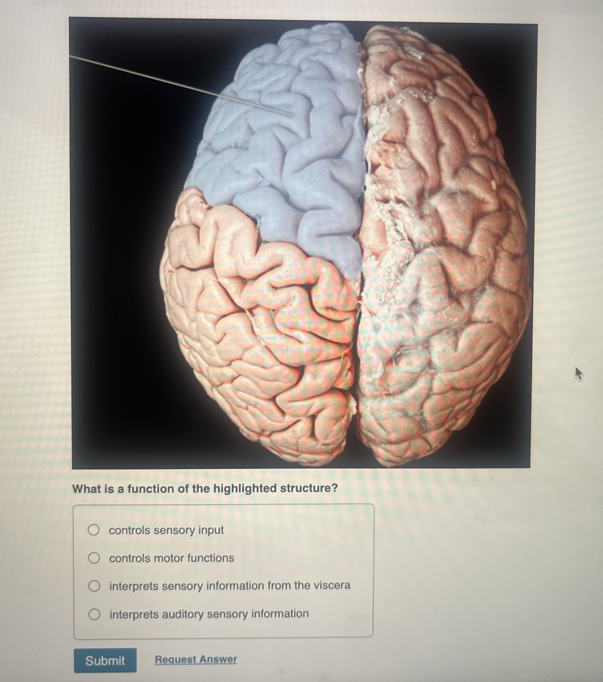 Solved What is a function of the highlighted | Chegg.com