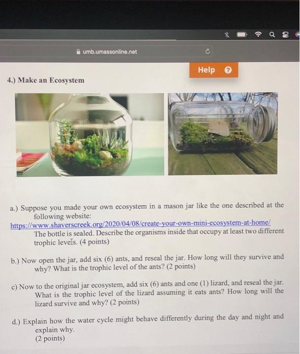 4.) Make an Ecosystem a.) Suppose you made your own | Chegg.com