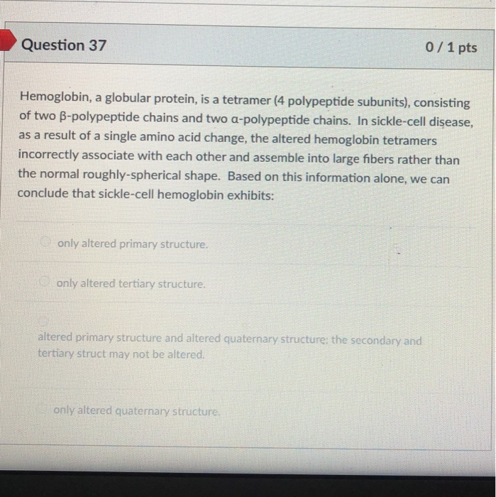 Solved Question 37 0/1 pts Hemoglobin, a globular protein, | Chegg.com