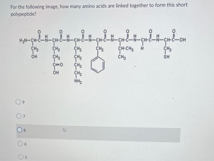 Solved For the following image, how many amino acids are | Chegg.com