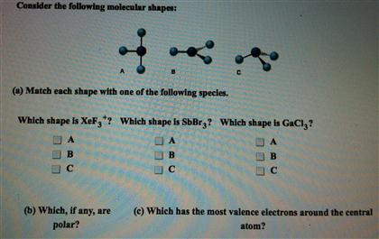 Solved Consider the following molecular shape: Match each | Chegg.com