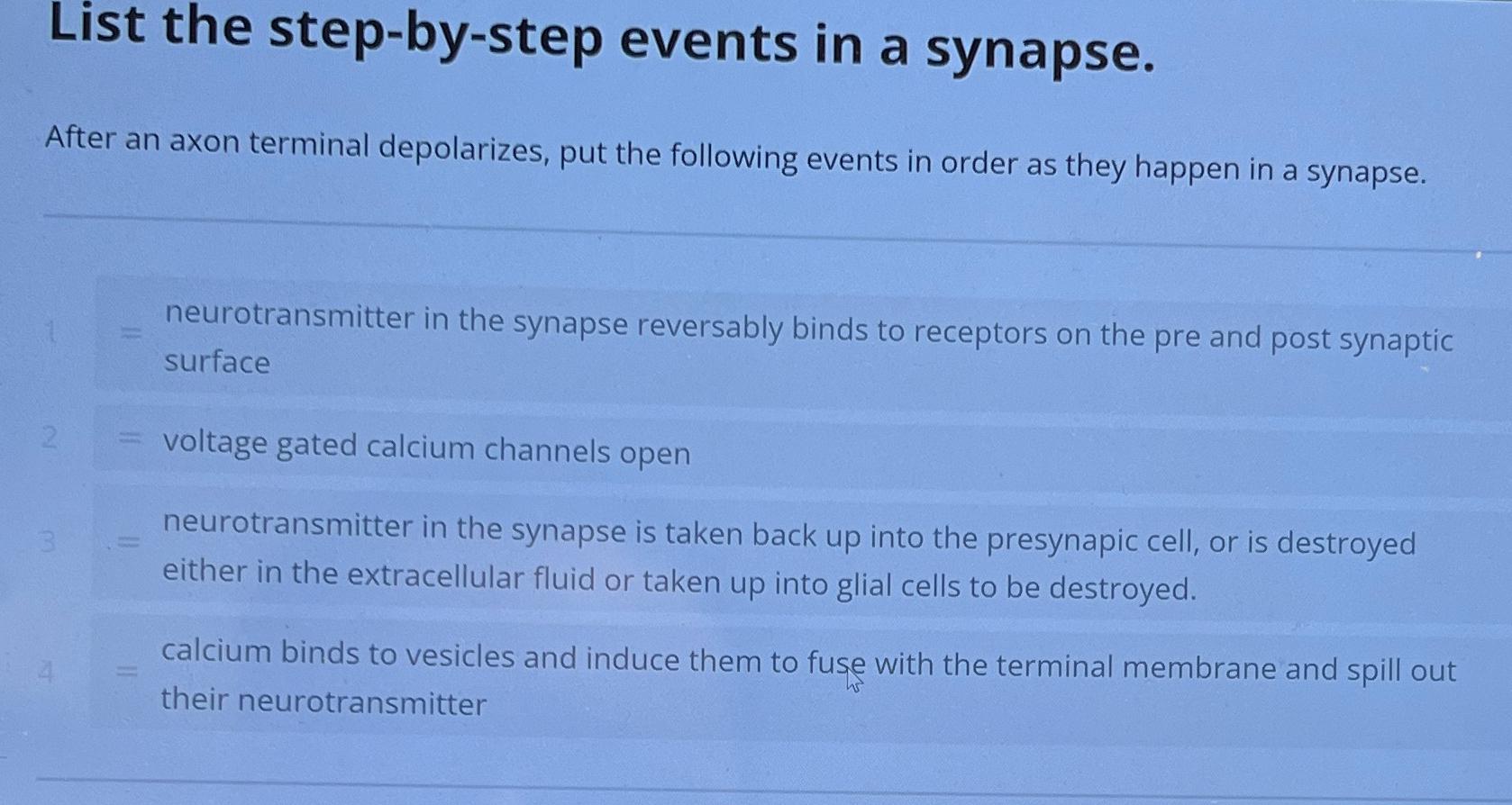 Solved List the step-by-step events in a synapse.After an | Chegg.com
