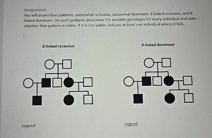 Solved How to solve Assignment:You will assess four | Chegg.com