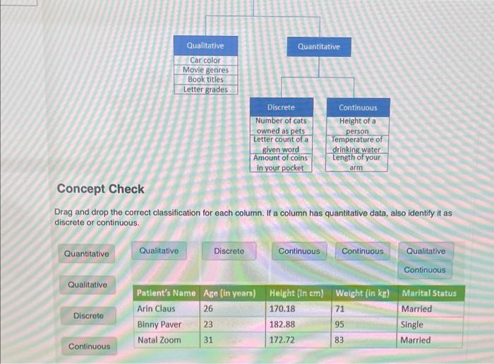 Solved Drag and drop the correct classification for each | Chegg.com