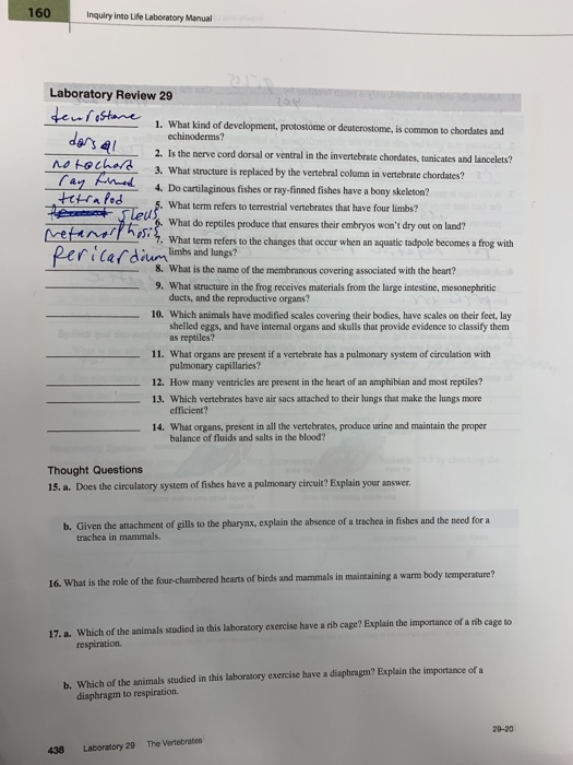 Solved 160 Inquiry into Life Laboratory Manual Laboratory | Chegg.com