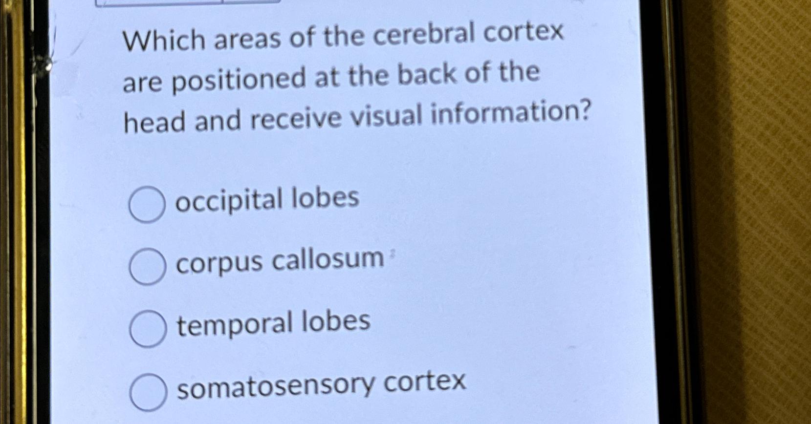 Solved Which areas of the cerebral cortex are positioned at | Chegg.com