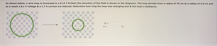 Solved As shown below, a wire loop is immersed in a 0.14 T | Chegg.com