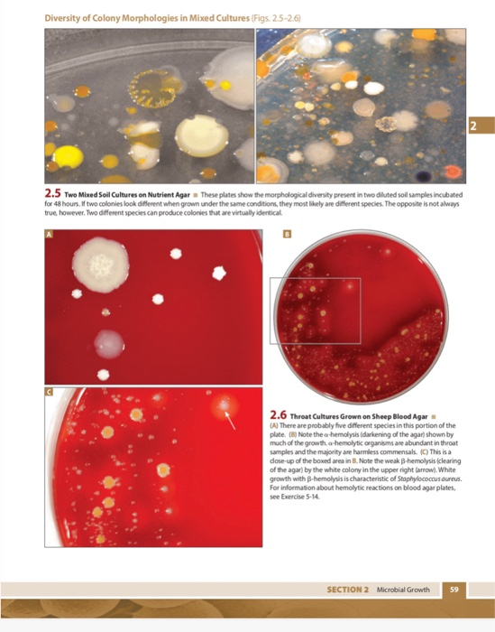 Solved Part I: Complete the following data tables with test | Chegg.com