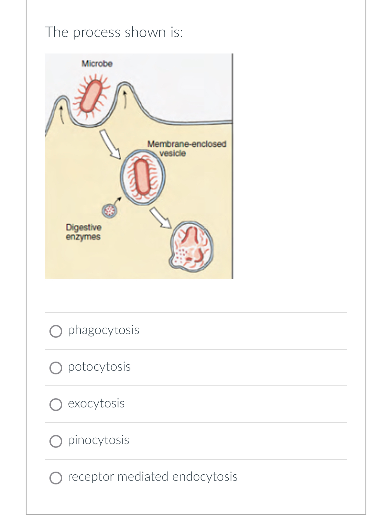 Solved The process shown | Chegg.com