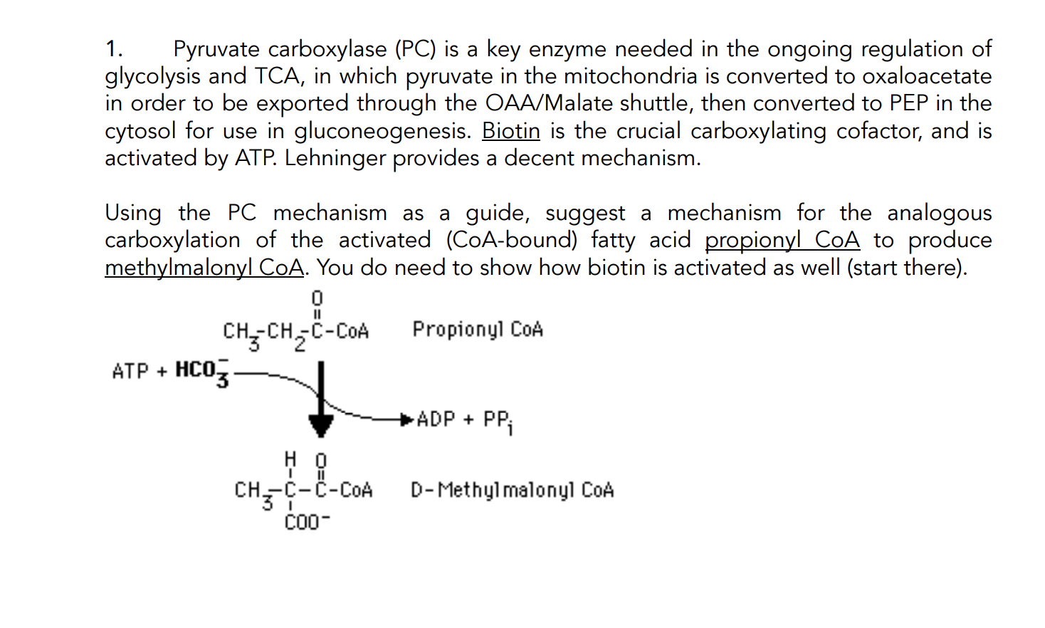 Solved 1. ﻿Pyruvate carboxylase (PC) ﻿is a key enzyme needed | Chegg.com
