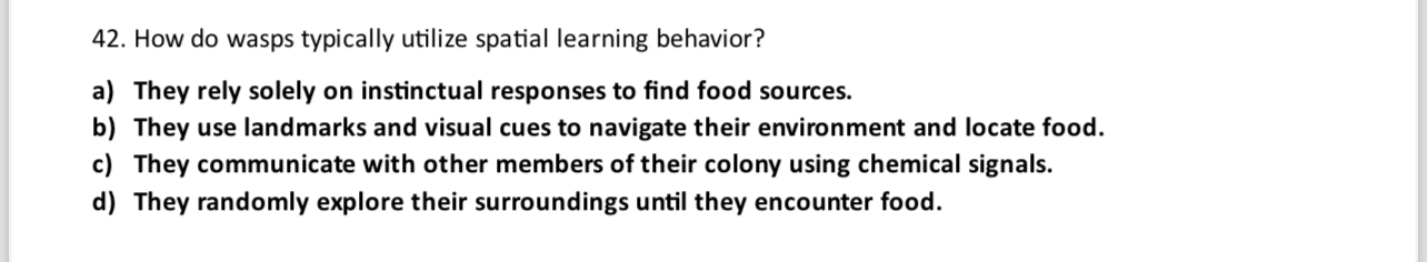 Solved How do wasps typically utilize spatial learning | Chegg.com