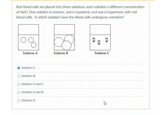 Solved Red blood cells are placed into three solutions, each | Chegg.com