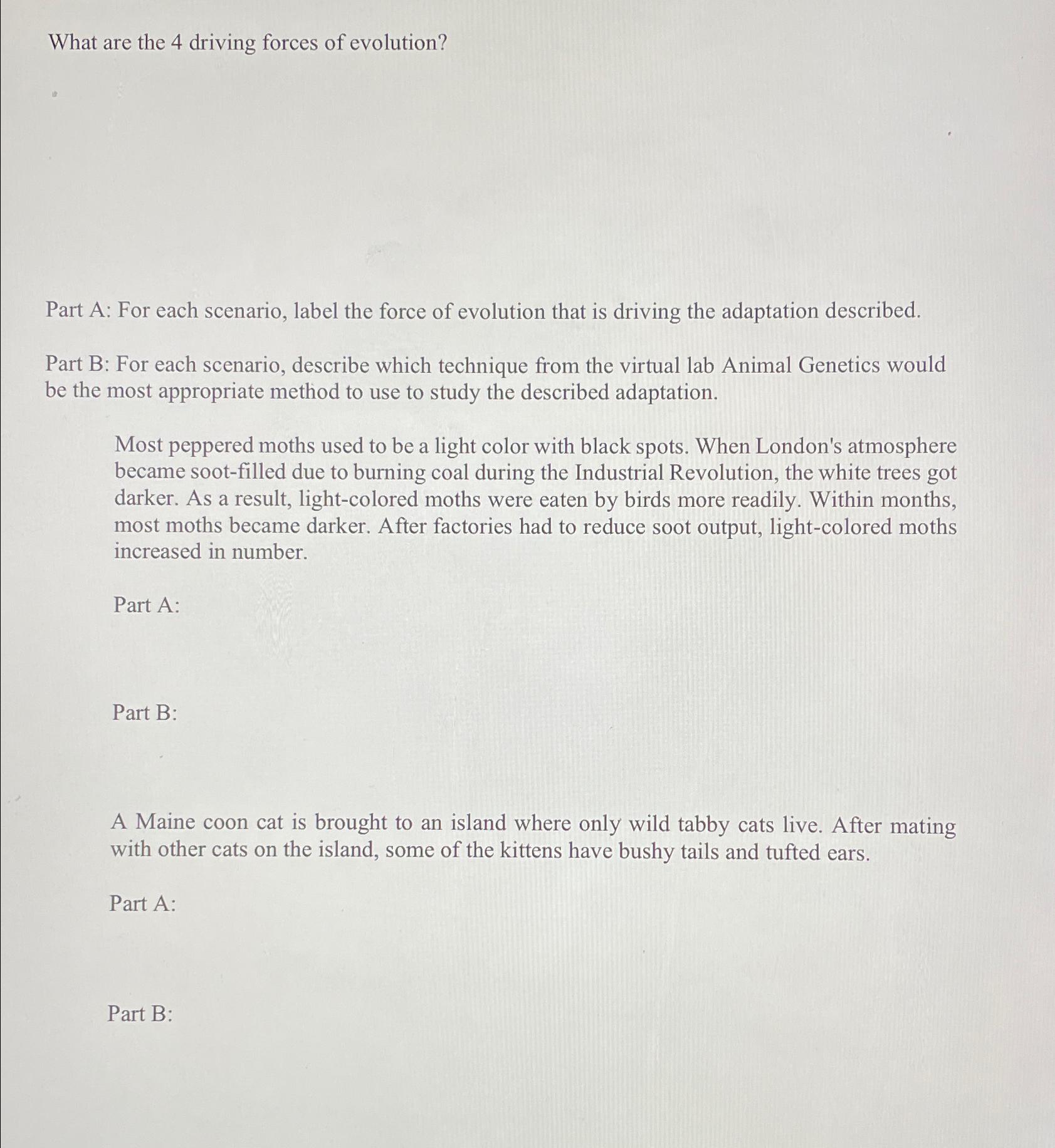 Solved Define evolution? What are the 4 ﻿driving forces of | Chegg.com