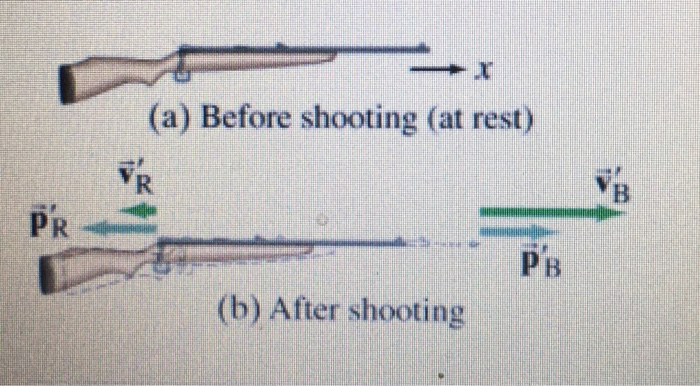 Solved calculate the recoil velocity of a 6.0 kg rifle that | Chegg.com