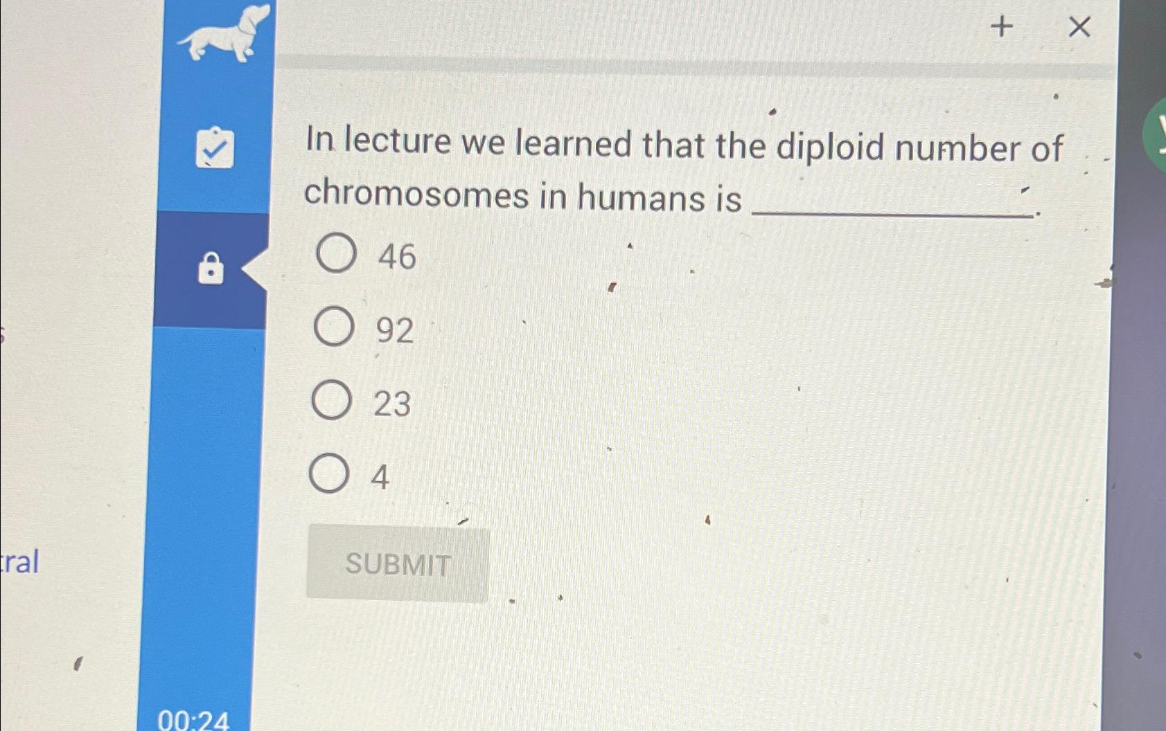 Solved In lecture we learned that the diploid number of | Chegg.com