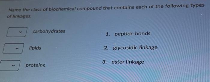 Solved name the class of biochemical compound that contains | Chegg.com