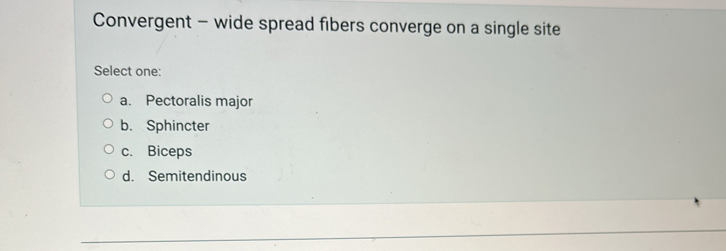 Solved Convergent - ﻿wide spread fibers converge on a single | Chegg.com