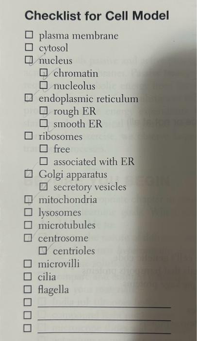 Checklist for Cell Model plasma membrane cytosol | Chegg.com