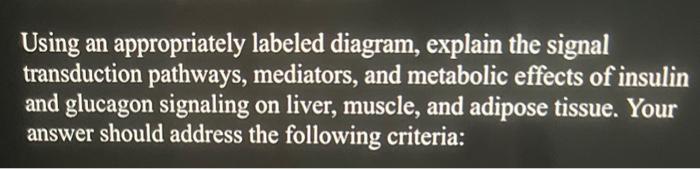 Solved Using an appropriately labeled diagram, explain the | Chegg.com